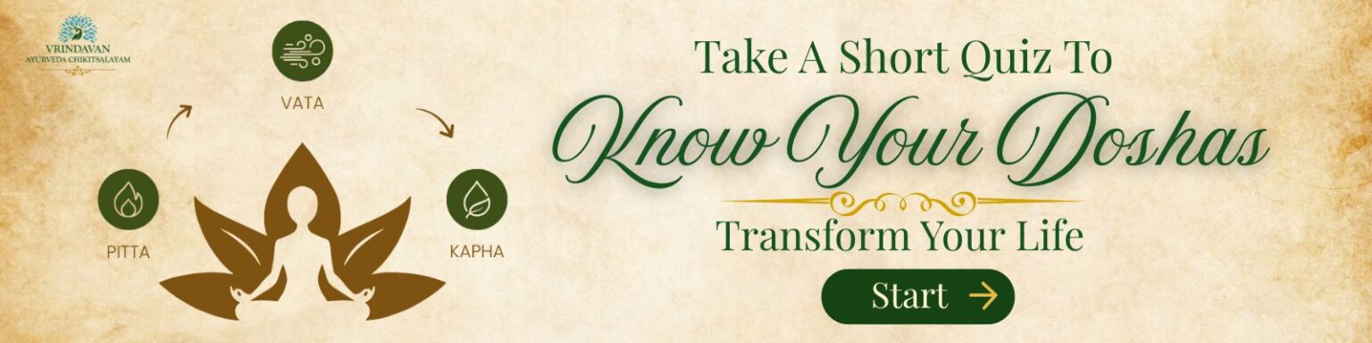 Types of Doshas: The 3 Pillars of your Body's Balance